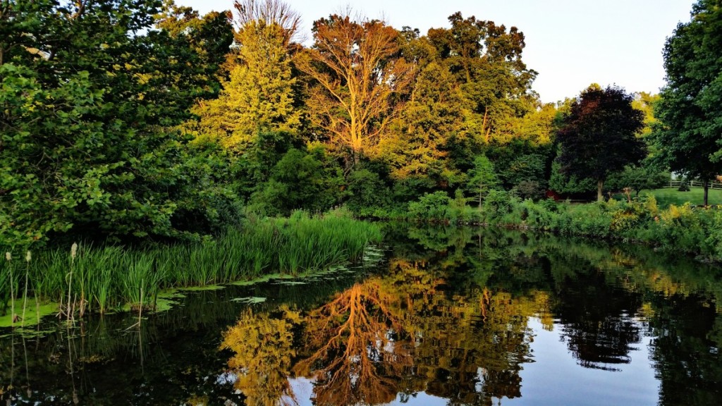 Explore Indiana Amish Country: A Perfect Weekend Itinerary