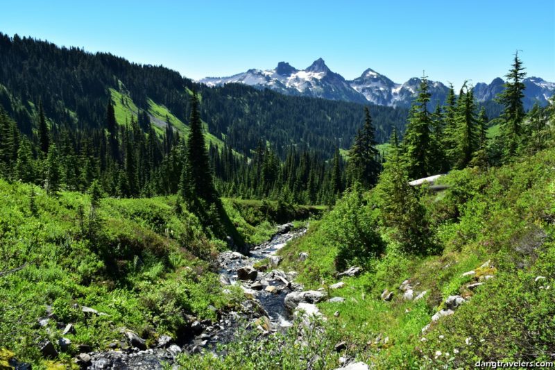The Outstanding Skyline Trail in Mount Rainier National Park – Dang ...