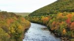 How to Find the Most Beautiful Fall Foliage in the Poconos – Dang Travelers
