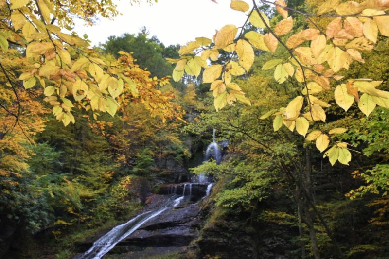 How to Find the Most Beautiful Fall Foliage in the Poconos – Dang Travelers