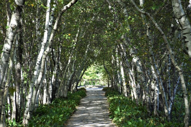 Stan Hywet Hall and Gardens | A Midwest Treasure – Dang Travelers