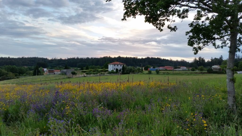 Walking the Camino Francés: Boente to Santiago de Compostela – Dang ...