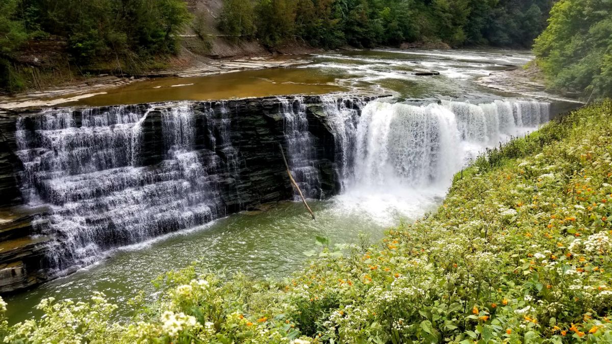 Astonishing: A Fantastic Day Trip to Letchworth State Park – Dang Travelers