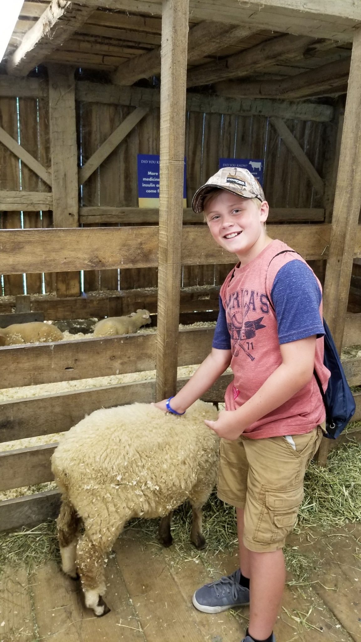 15 Family Friendly Midwest Spring Break Ideas Dang Travelers 15-family-friendly-midwest-spring-break-ideas-dang-travelers