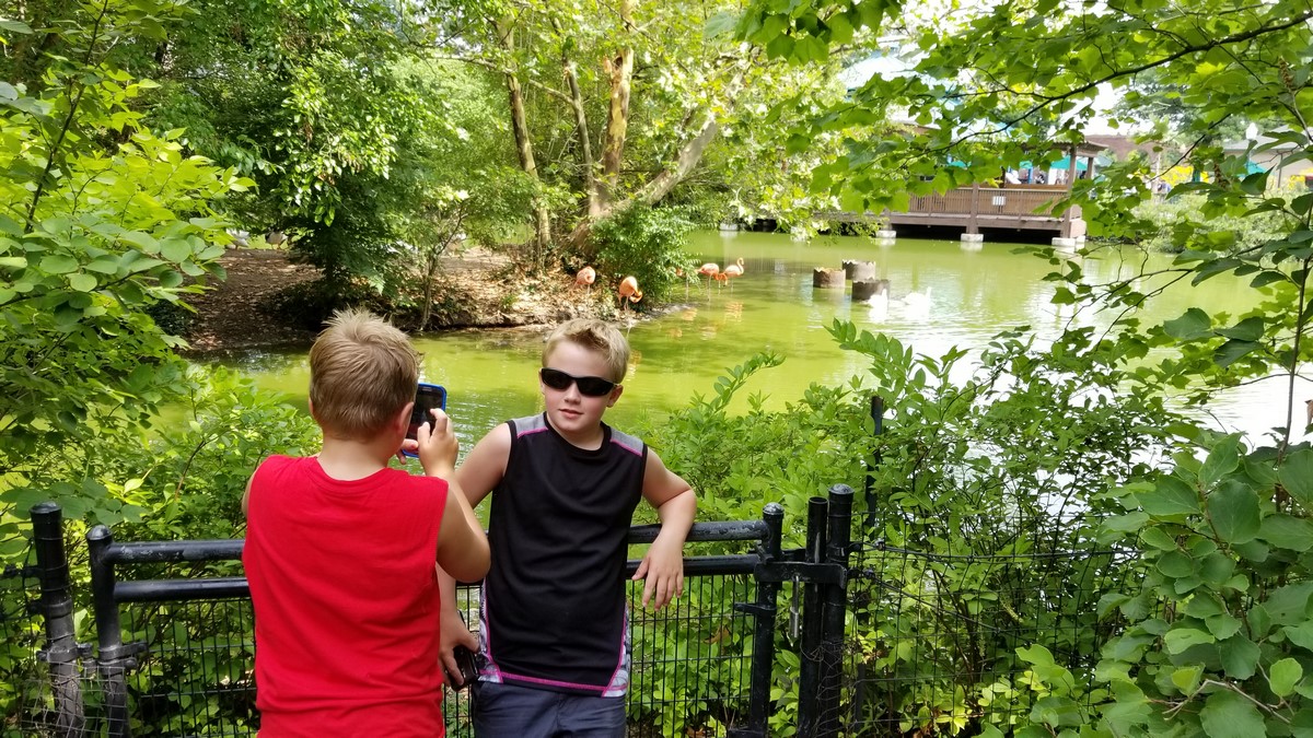 15 Family-Friendly Midwest Spring Break Ideas – Dang Travelers