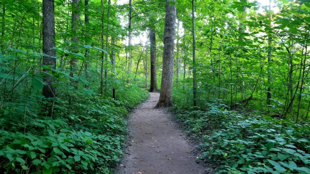 A Complete Guide to Turkey Run Camping and Hiking Trails – Dang Travelers