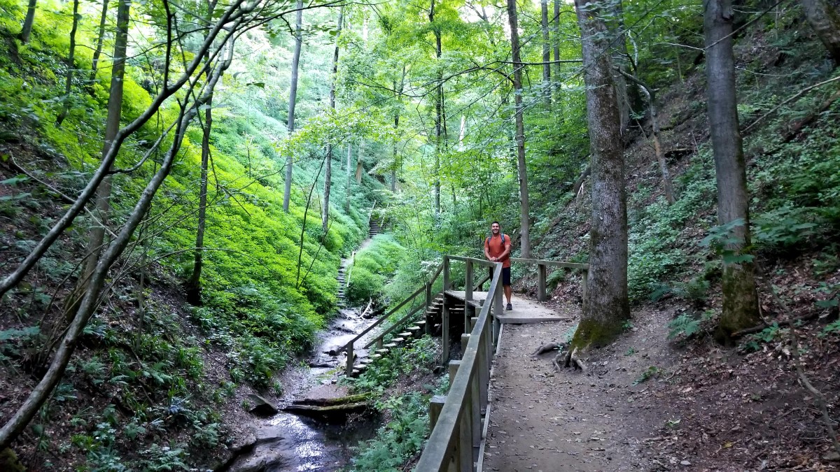 A Complete Guide to Turkey Run Camping and Hiking Trails – Dang Travelers