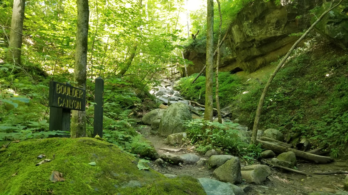 A Complete Guide to Turkey Run Camping and Hiking Trails – Dang Travelers