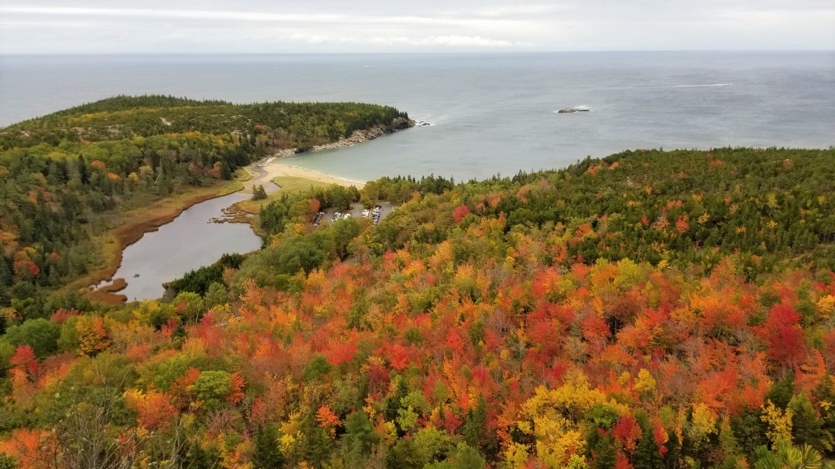 Beehive Trail, a Must-Do Hike in Acadia National Park Especially in the ...