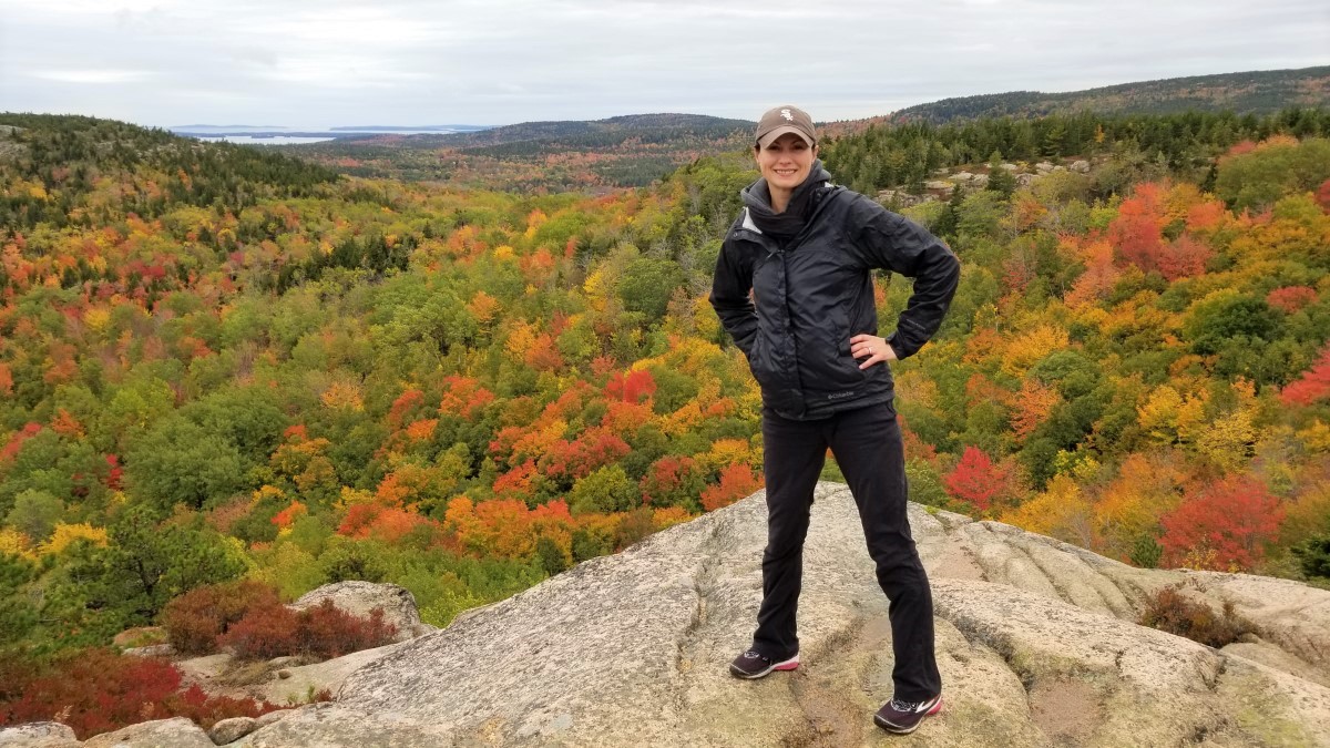 Beehive Trail, a Must-Do Hike in Acadia National Park Especially in the ...